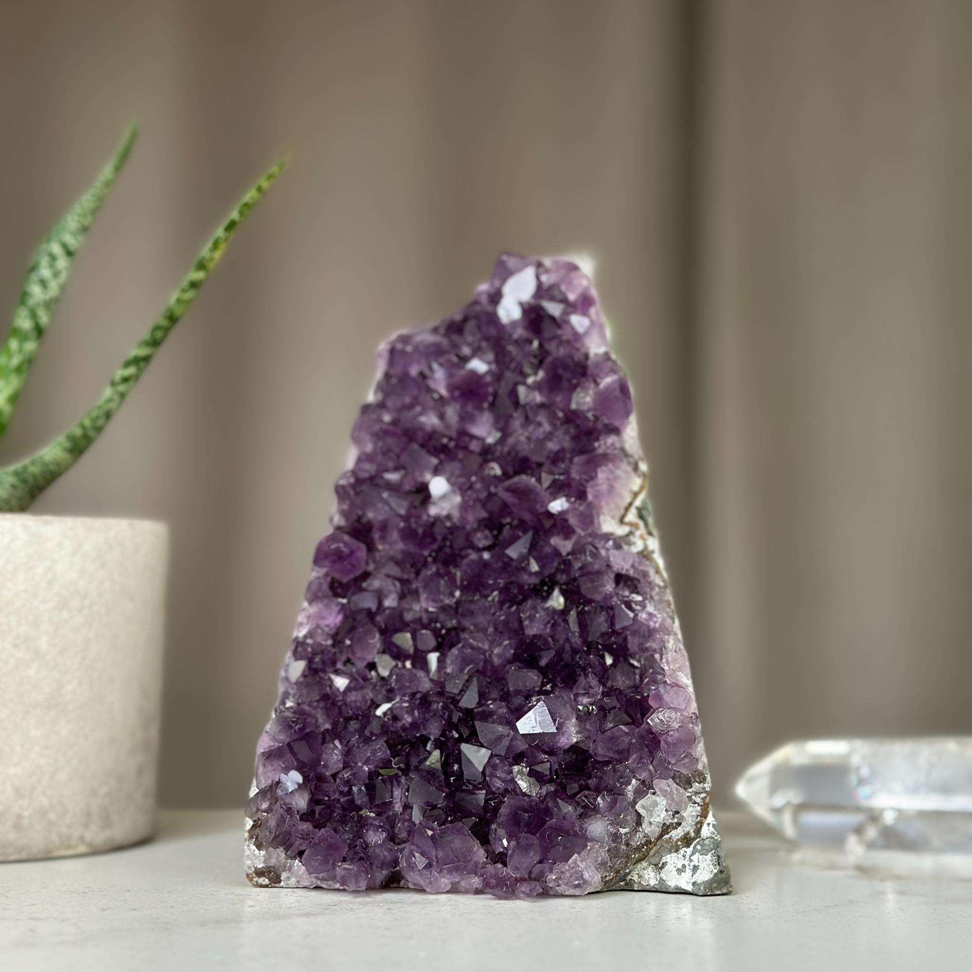 Extra large Amethyst Cluster, Large minerals for sale – DeepPurpleProject
